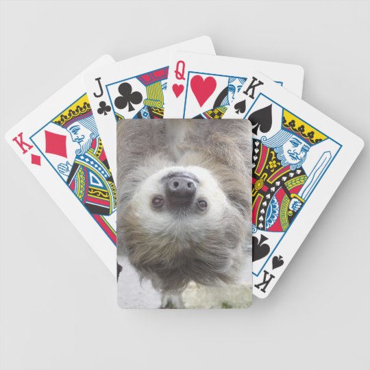 Sloth Playing Cards | Zazzle.com