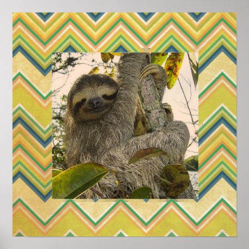 sloth poster | Zazzle