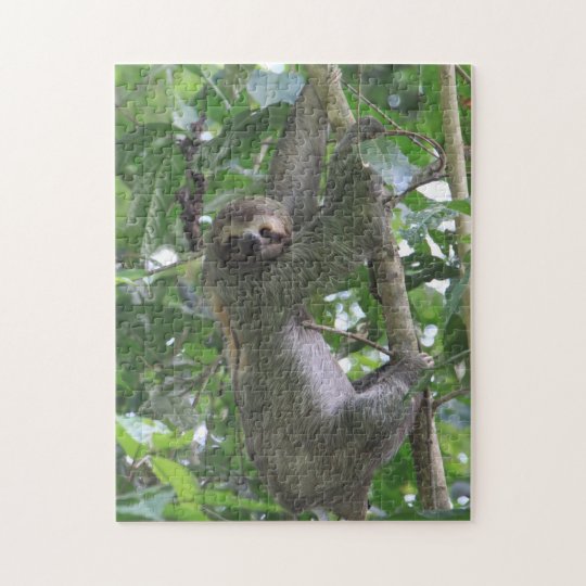 Sloth Puzzle | Zazzle.com