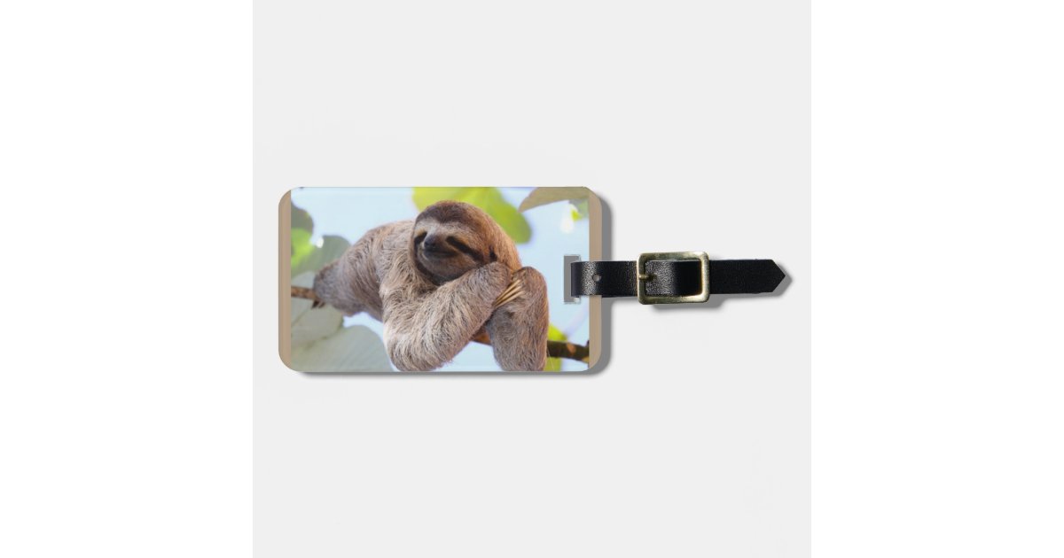Sloth resting on tree branch luggage tag | Zazzle