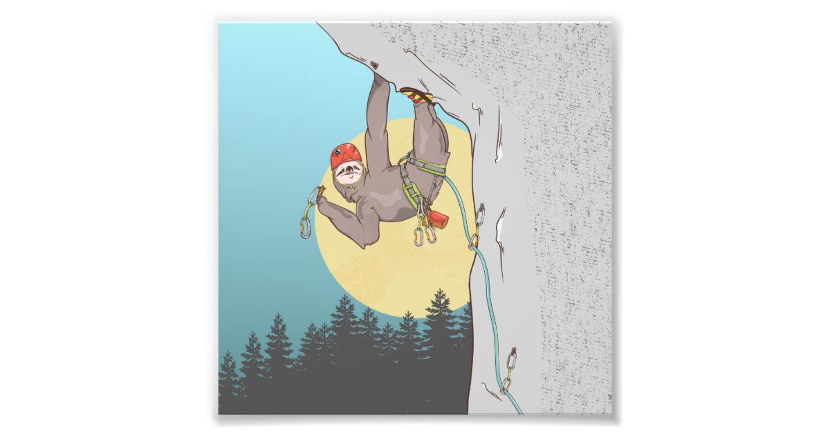 Sloth Rock climbing Photo Print | Zazzle
