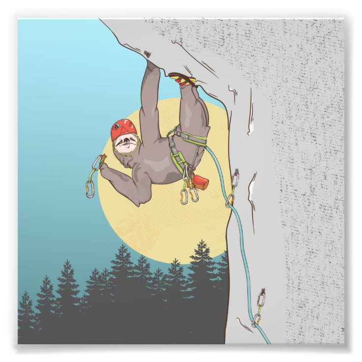 Sloth Rock climbing Photo Print | Zazzle