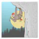 Sloth Rock climbing Photo Print | Zazzle
