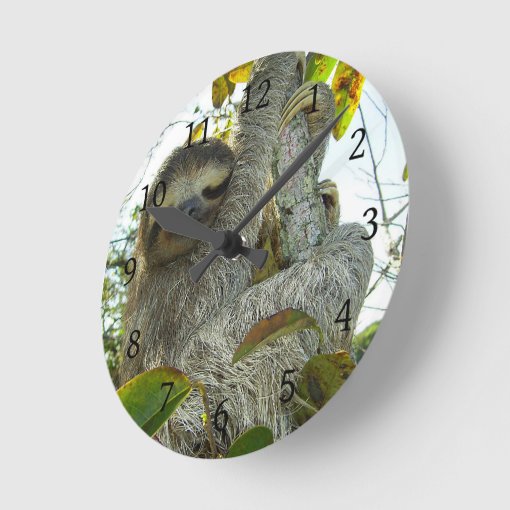Sloth Round Clock | Zazzle