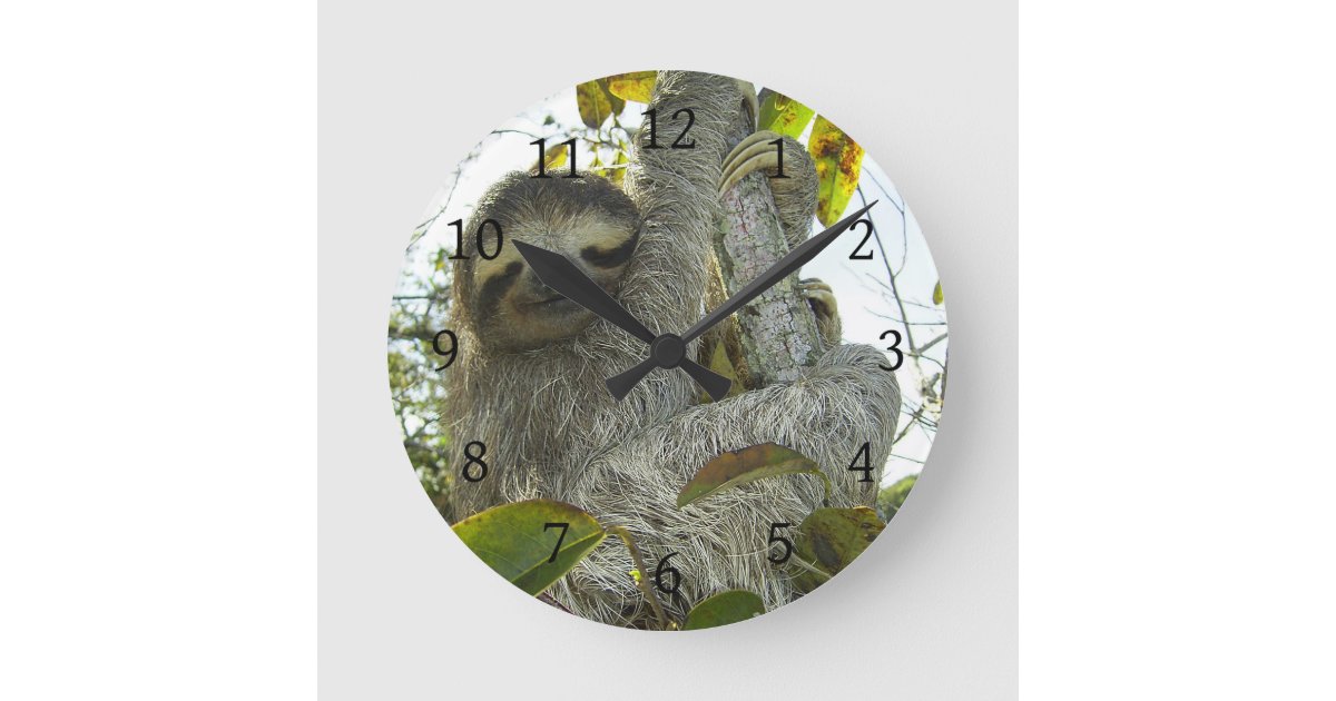 Sloth Round Clock | Zazzle