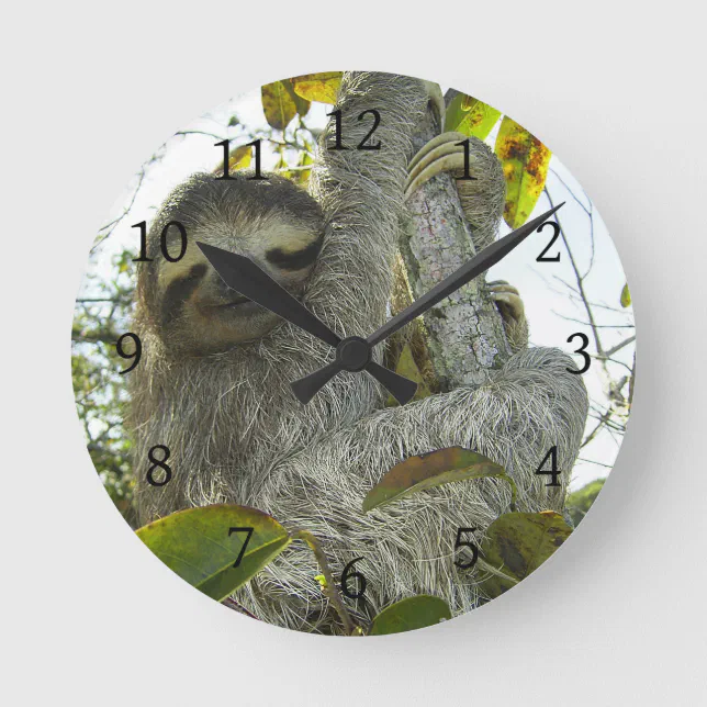 Sloth Round Clock | Zazzle