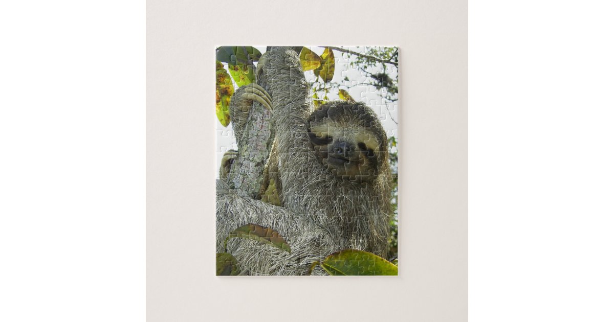 Sloth Up A Tree Jigsaw Puzzle | Zazzle