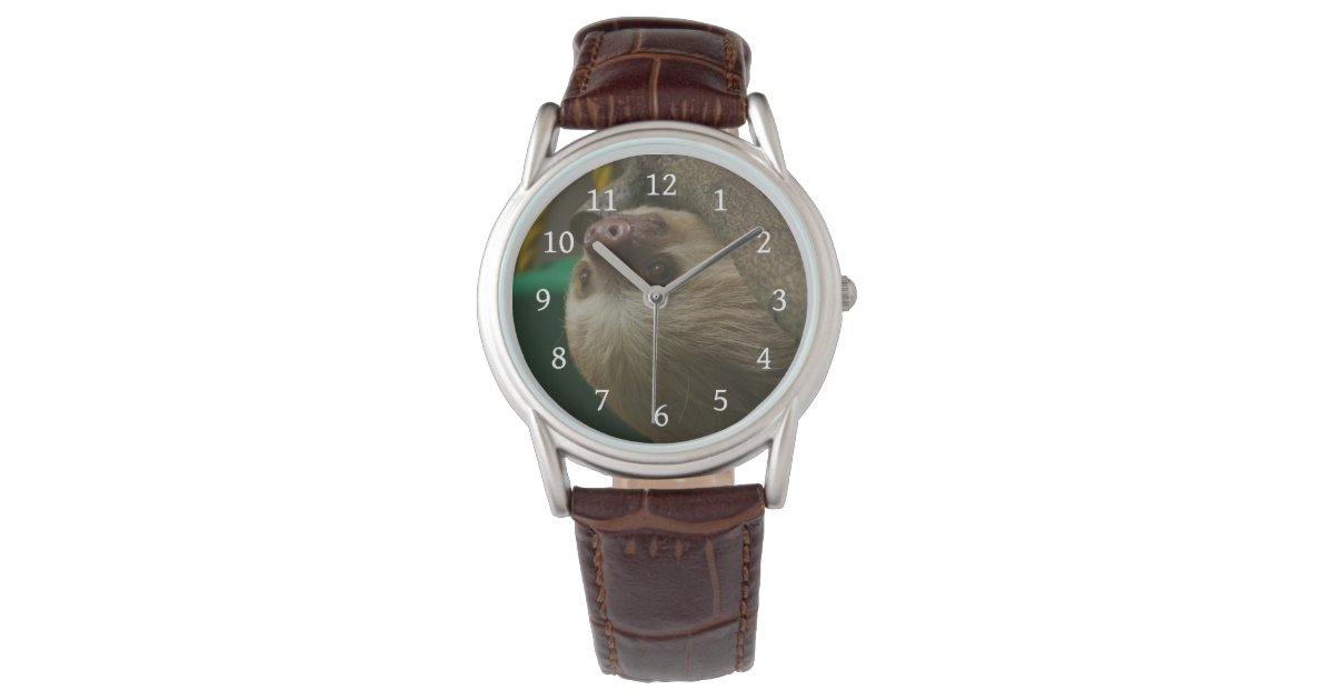 Sloth Watch | Zazzle