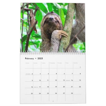 Sloths Calendar | Zazzle