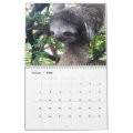 Sloths Calendar | Zazzle