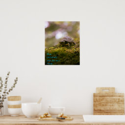 "Slow and steady wins the race." Aesop Poster | Zazzle