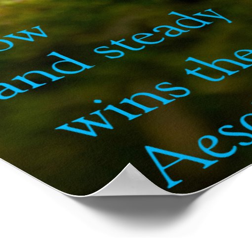 "Slow and steady wins the race." Aesop Poster | Zazzle