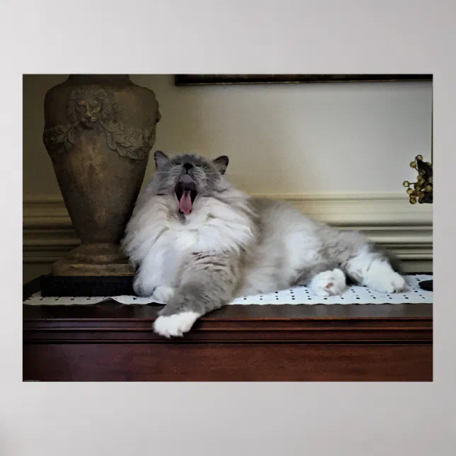Slow Days, Poster | Zazzle