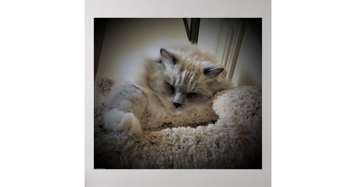 Slow Days, Poster | Zazzle