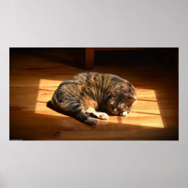 Slow Days, Poster | Zazzle