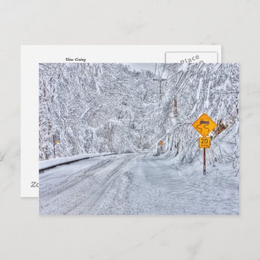 Slow Going Postcard | Zazzle