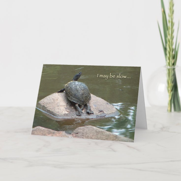 slow turtle birthday card | Zazzle