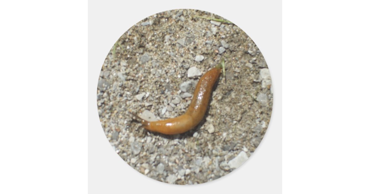 Slug Classic Round Sticker | Zazzle