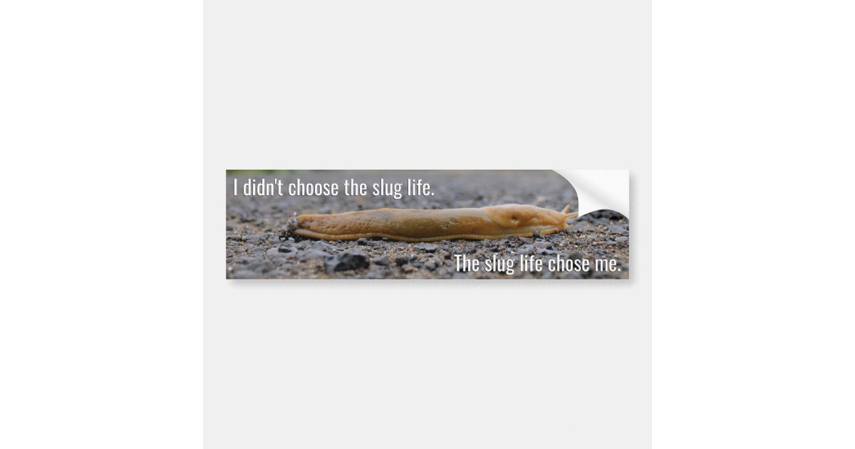 Slug Life Bumper Sticker | Zazzle