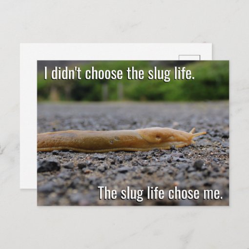 Slug Life Postcard | Zazzle