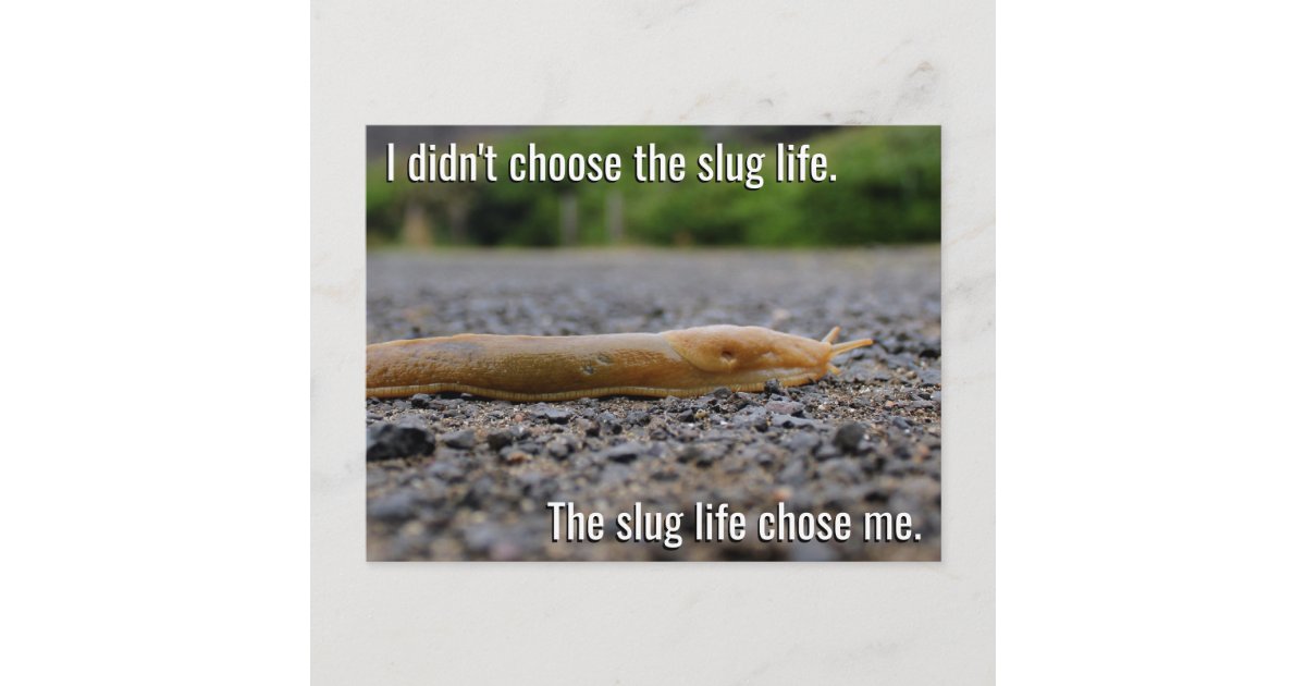 Slug Life Postcard | Zazzle