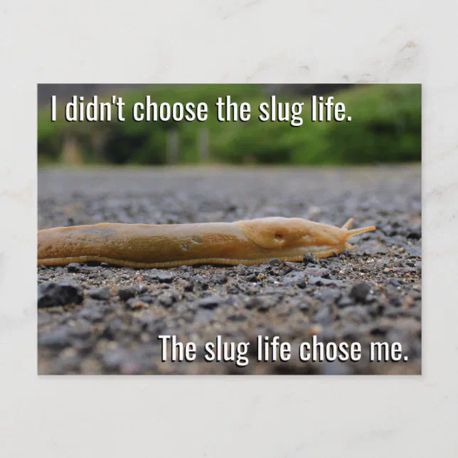 Slug Life Postcard | Zazzle