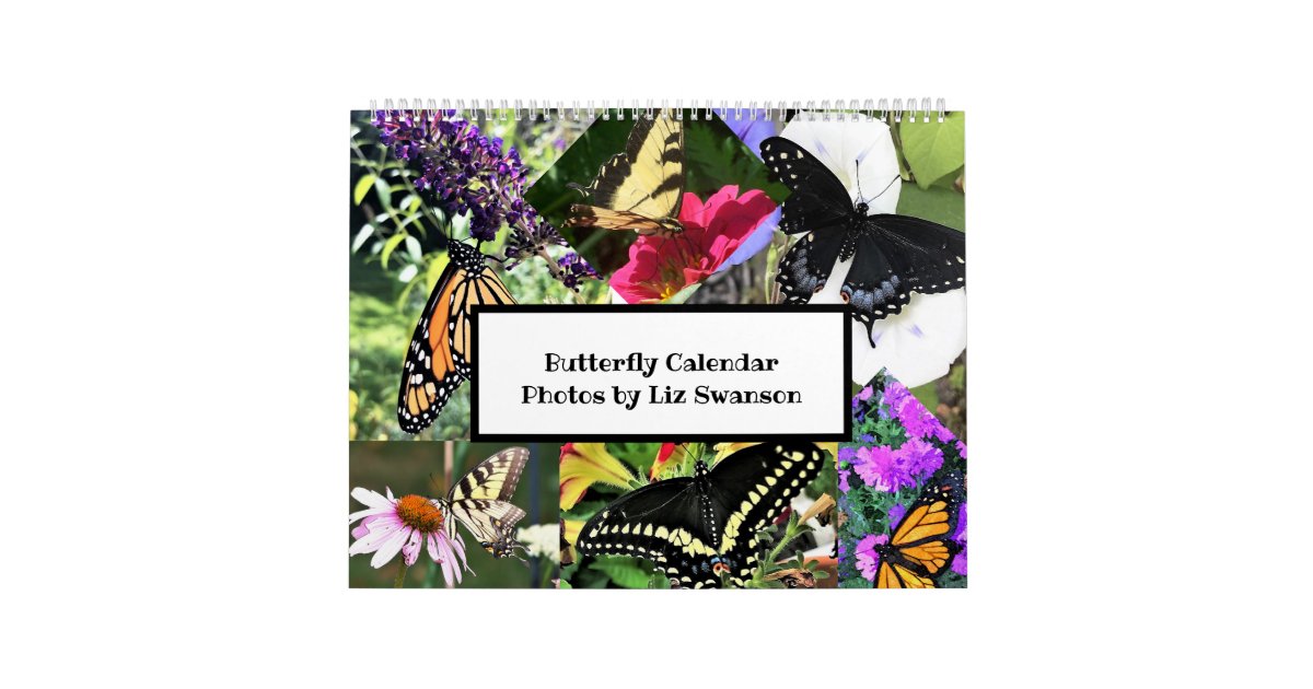 Sm, Med, Lg Calendars - Butterflies | Zazzle