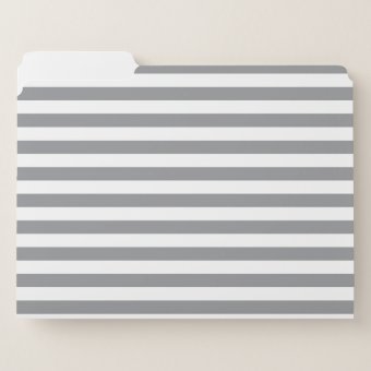Small Horizontal Grey Stripes File Folder | Zazzle
