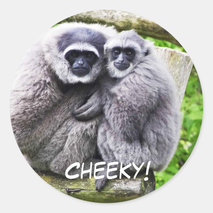 Small Monkeys Hugging Classic Round Sticker | Zazzle