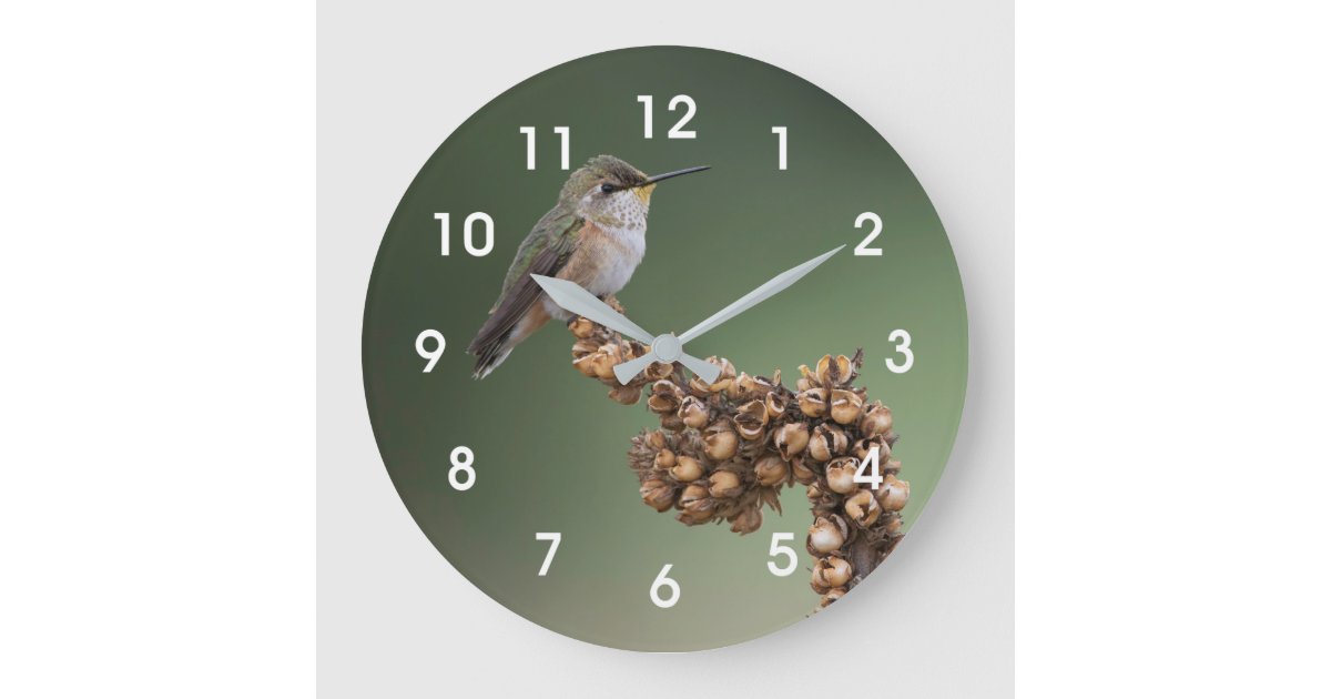 Small Orange Hummingbird Large Clock | Zazzle