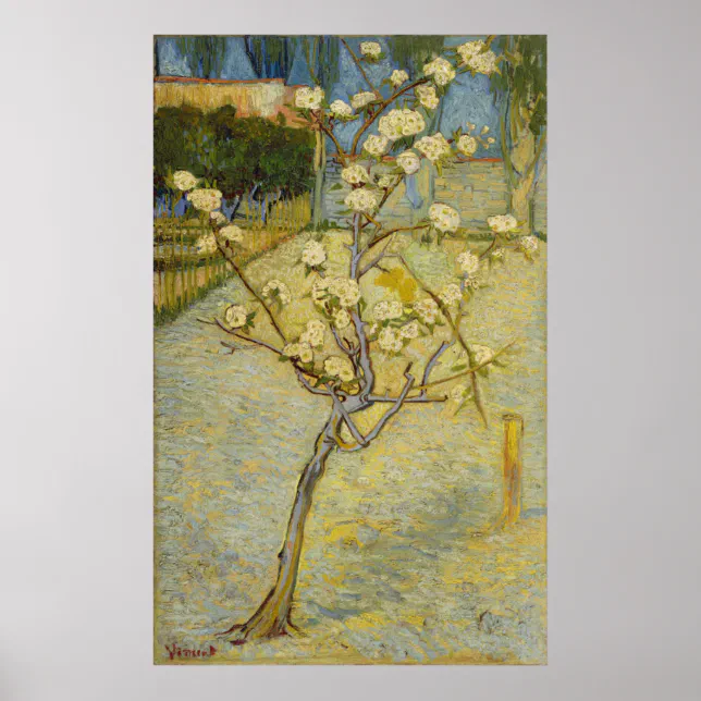 Small Pear Tree in Blossom by Vincent Van Gogh Poster | Zazzle
