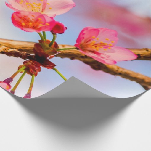 Small Pink Sakura Beauties In Spring Wrapping Paper | Zazzle