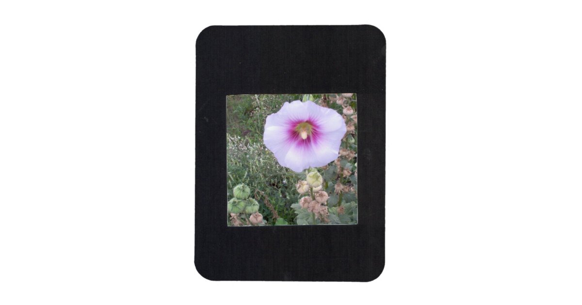 Small Square Photo Frame(black) Magnet | Zazzle