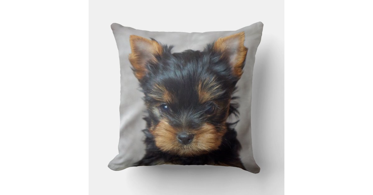 Small yorkie throw pillow | Zazzle