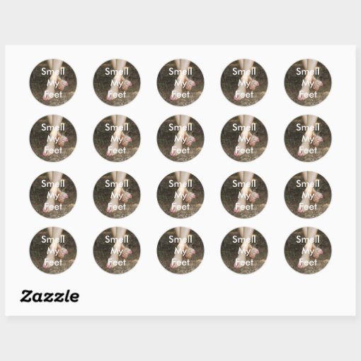 Smell My Feet Stickers | Zazzle