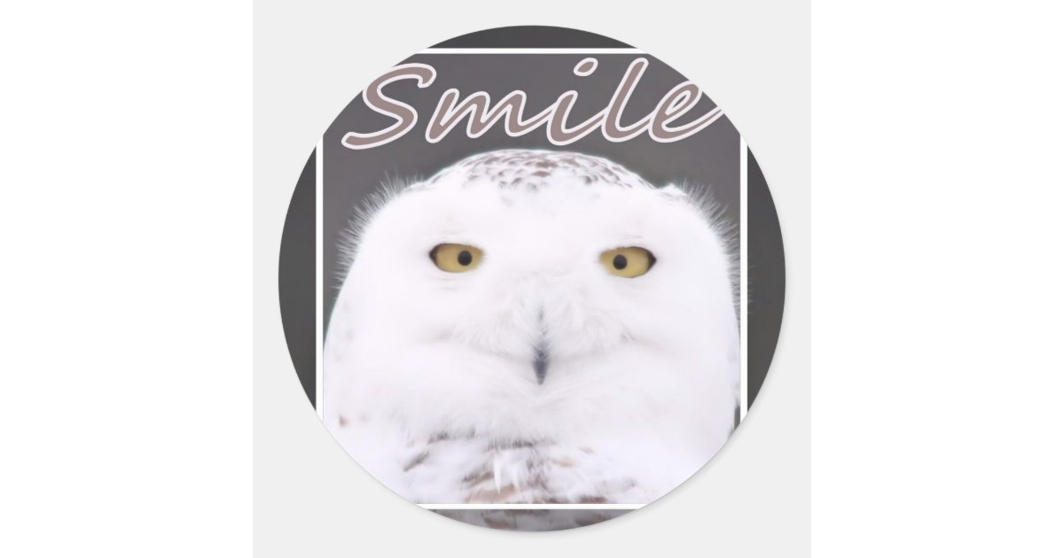 Smile Classic Round Sticker | Zazzle