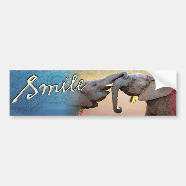 SMILE ELEPHANT BUMPER STICKER | Zazzle