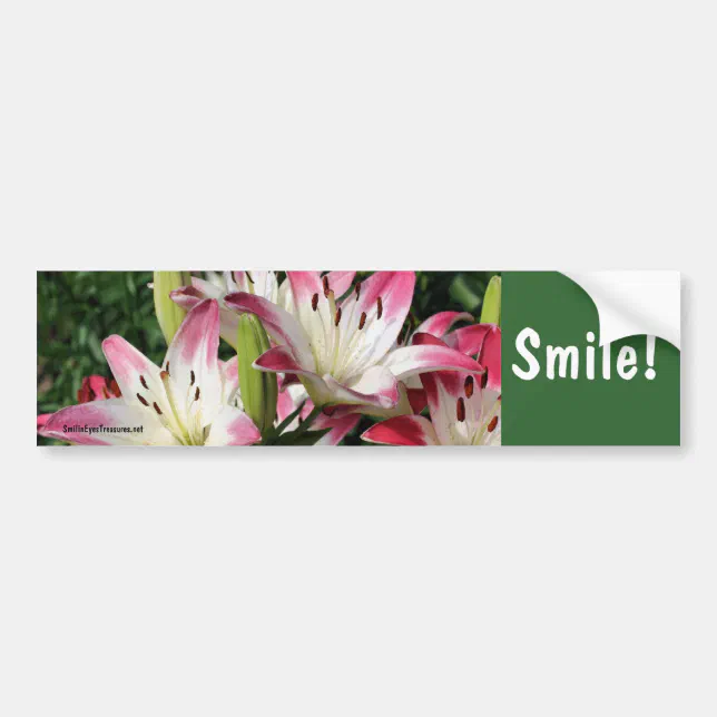 Smile Lily Flower Inspirational Bumper Sticker | Zazzle