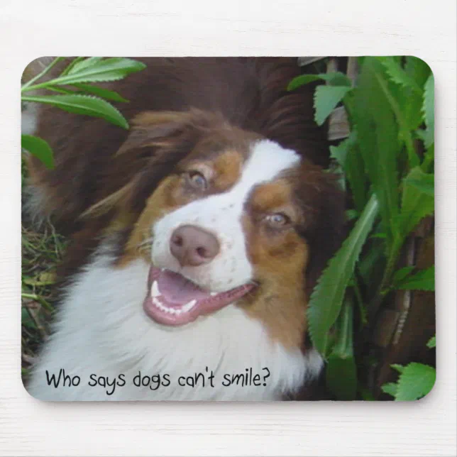 Smiling Australian Shepherd dog Mousepad | Zazzle