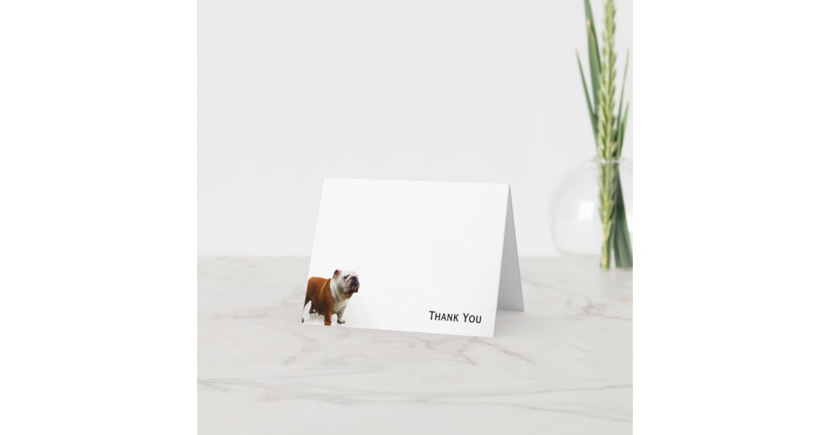 Smiling Bulldog Thank You Card | Zazzle