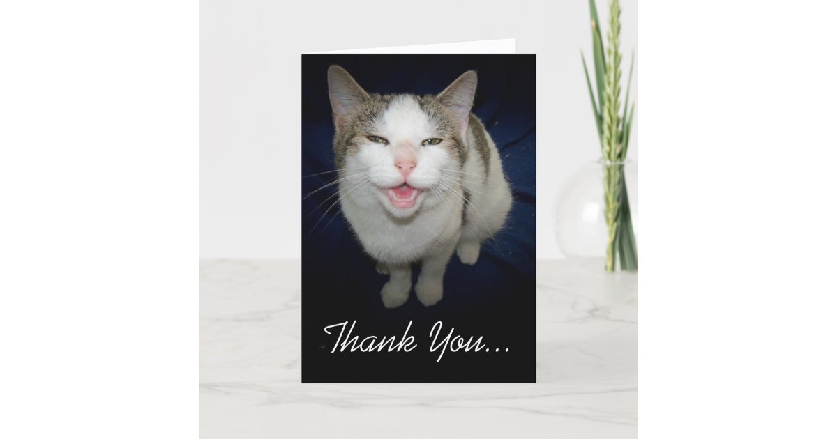 Smiling Cat Thank You Card | Zazzle