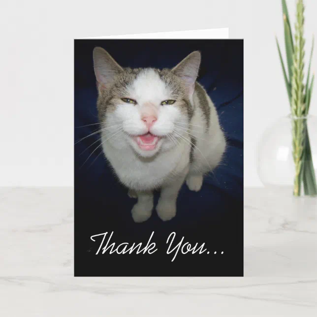 Smiling Cat Thank You Card | Zazzle