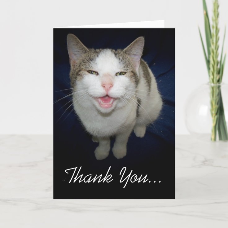 Smiling Cat Thank You Card | Zazzle