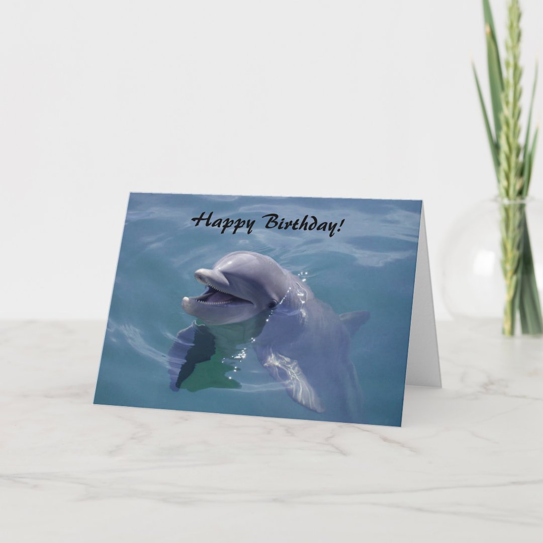 Smiling Dolphin Happy Birthday! Card | Zazzle