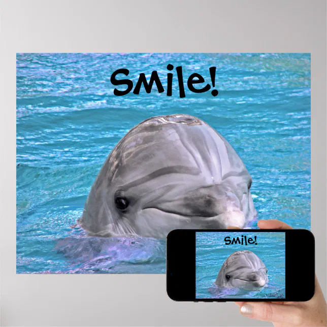 Smiling Dolphin - Smile! Poster | Zazzle