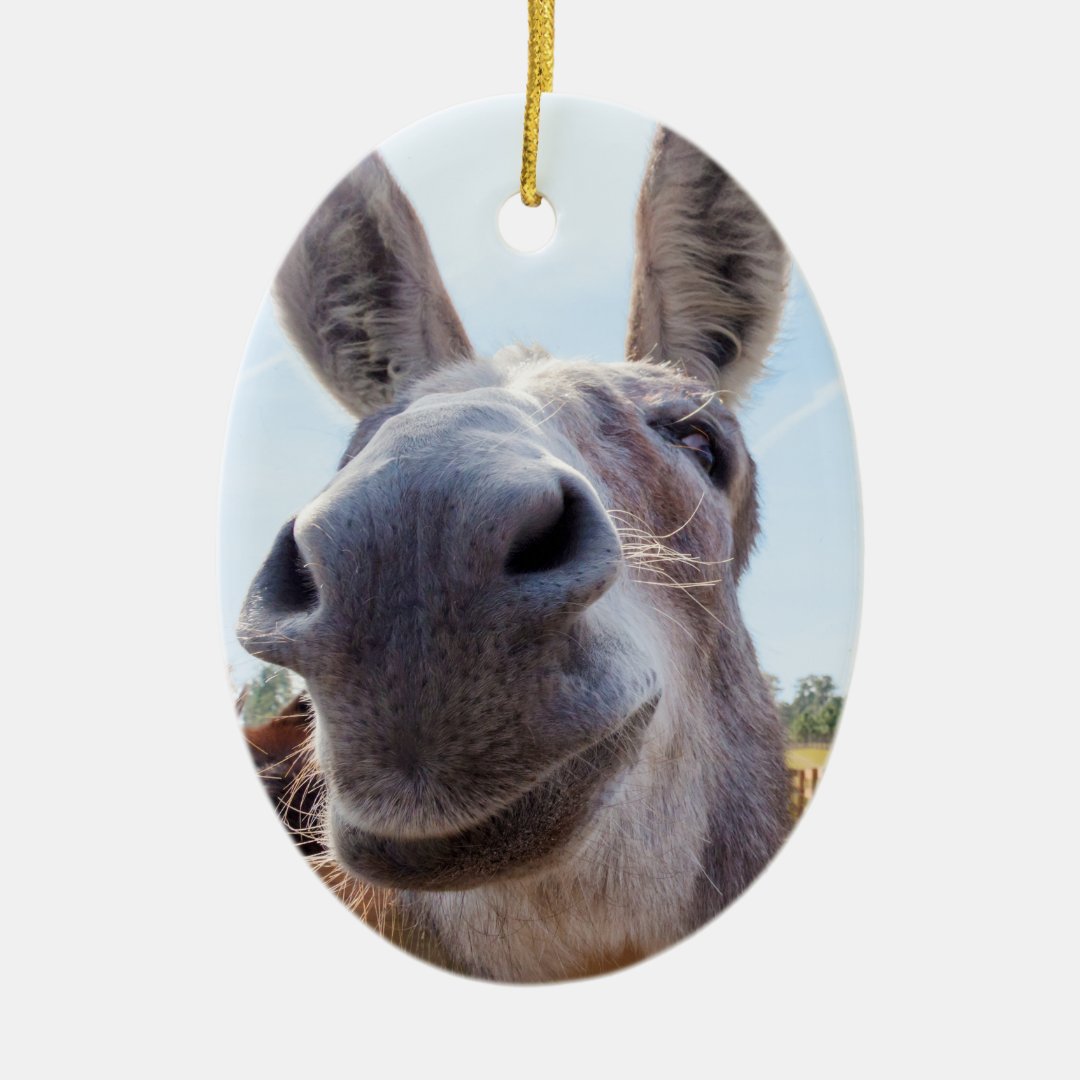 Smiling Donkey Christmas Ornament | Zazzle