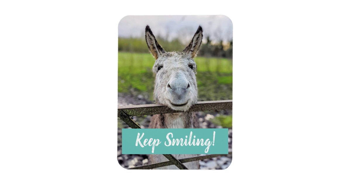 Smiling Donkey "Keep Smiling" Magnet | Zazzle