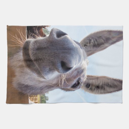 Smiling Donkey Kitchen Towel | Zazzle
