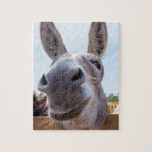 Donkey Jigsaw Puzzles | Zazzle