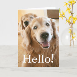Smiling Golden Retriever Hello Card | Zazzle